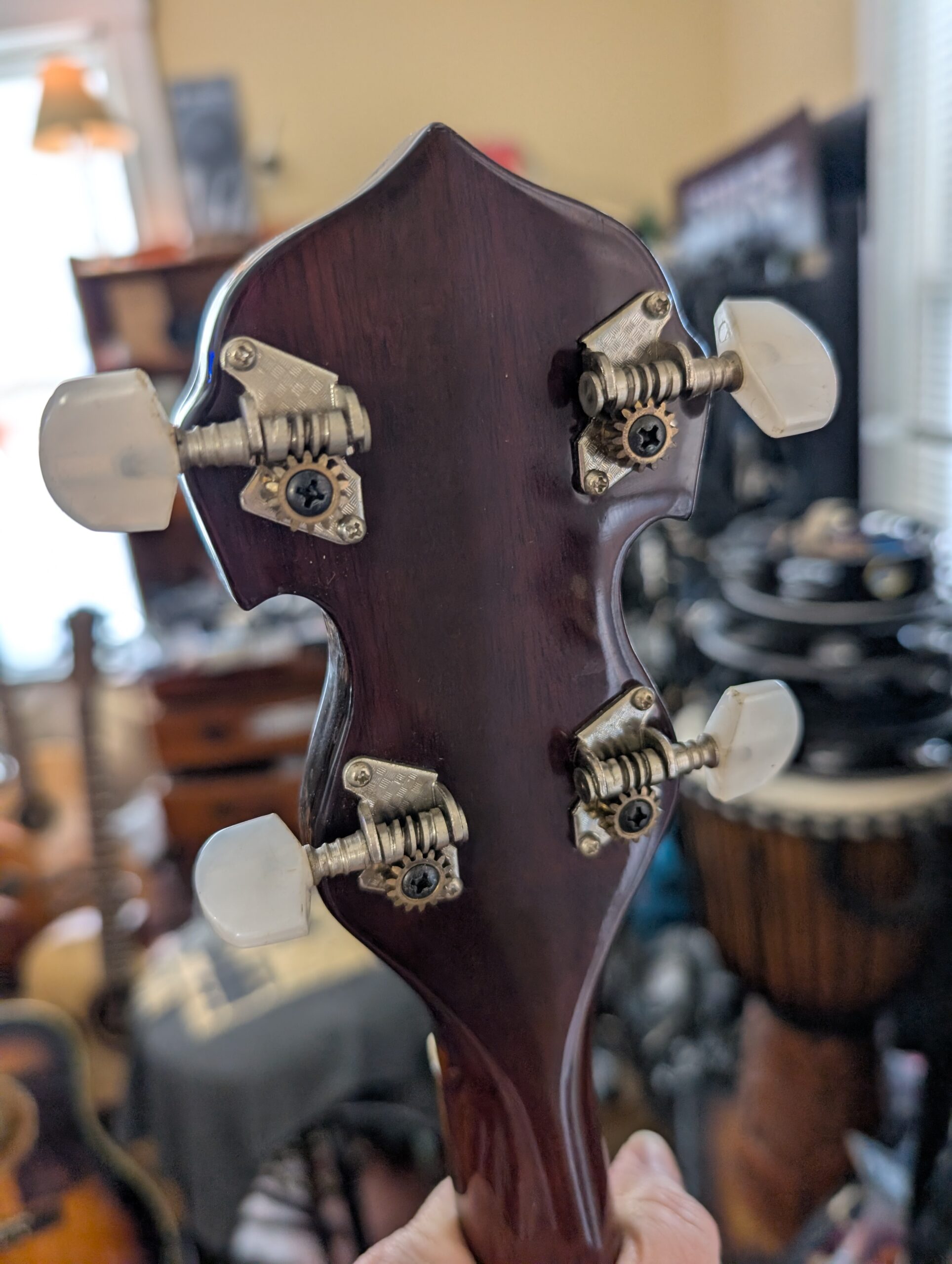 Galveston 5-String Bluegrass Resonator Banjo – Music Plays On